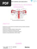 Partes de la Salpinge y Anatomía Asociada | PDF | Ovario | Pelvis