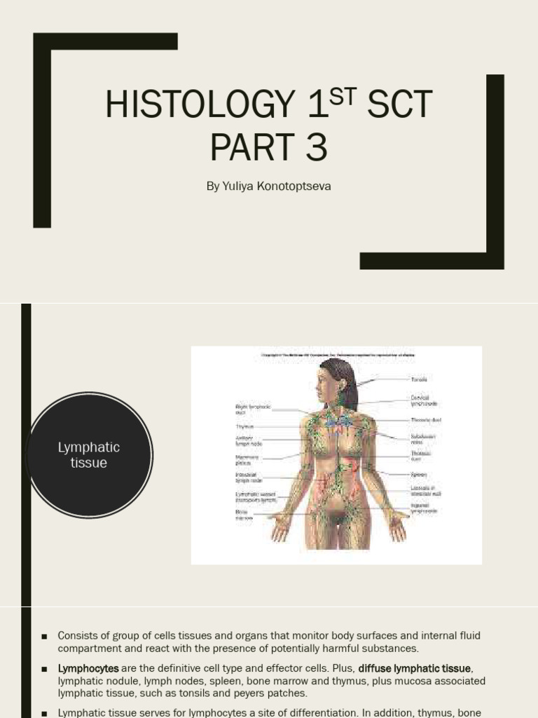 1st SCT Part 3 | PDF | Lymph Node | Immune System