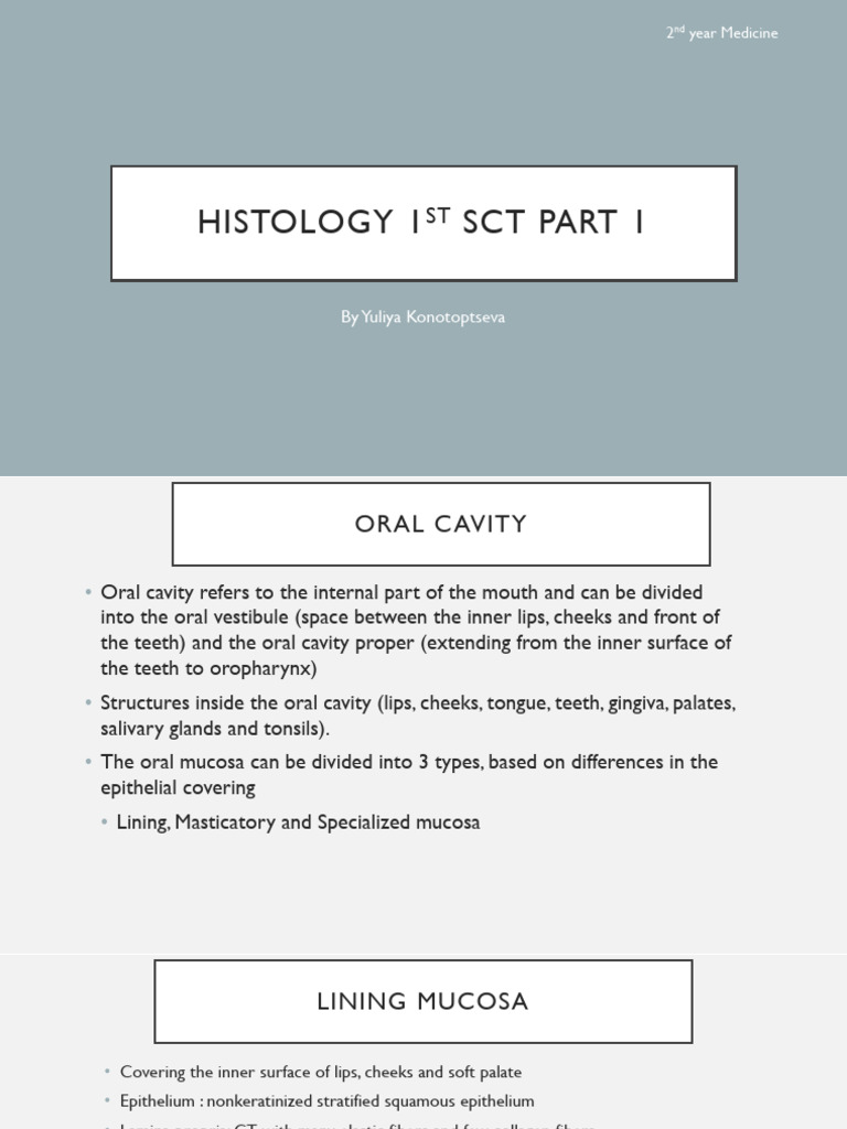 1st SCT Part 1 | Download Free PDF | Human Tooth | Epithelium