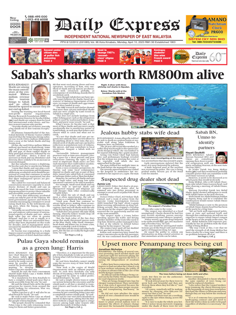 De10 4 | PDF | Sharks