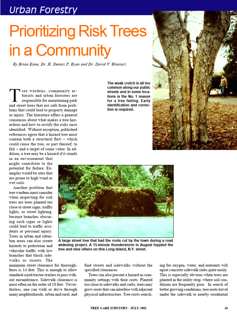 Prioritizing Risk Trees | Download Free PDF | Trees | Root