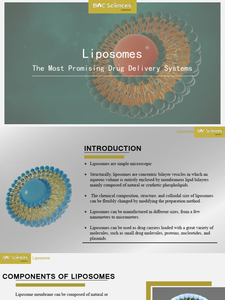 liposome-based-drug-delivery-system-boc-sciences | PDF | Liposome ...