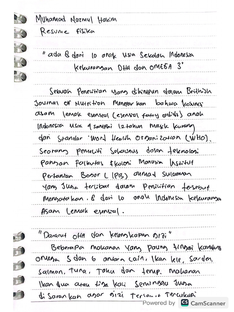 Muhamad Nazmul Hakim | PDF