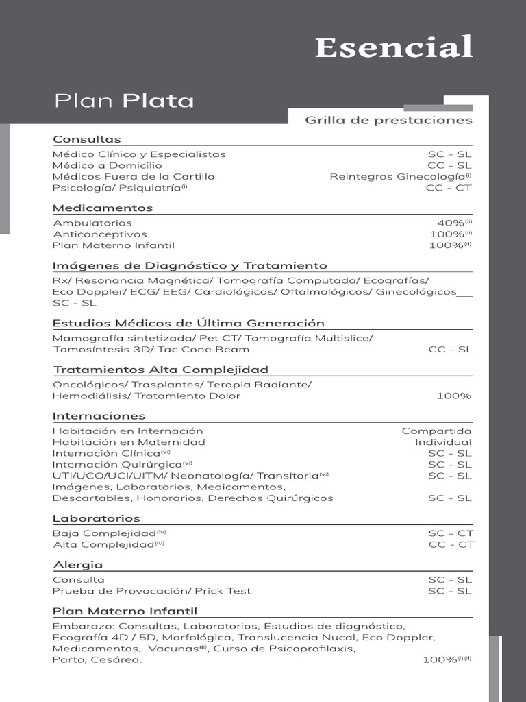 b84b7 Plan Plata | PDF