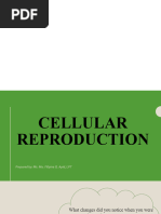 Oreo Mitosis Lab | PDF | Mitosis | Cell Biology