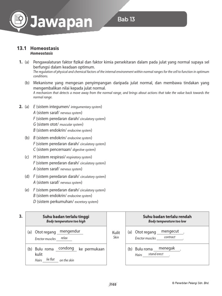 Homeostasis in Biology Form 4 | PDF | Glucose | Glycogen