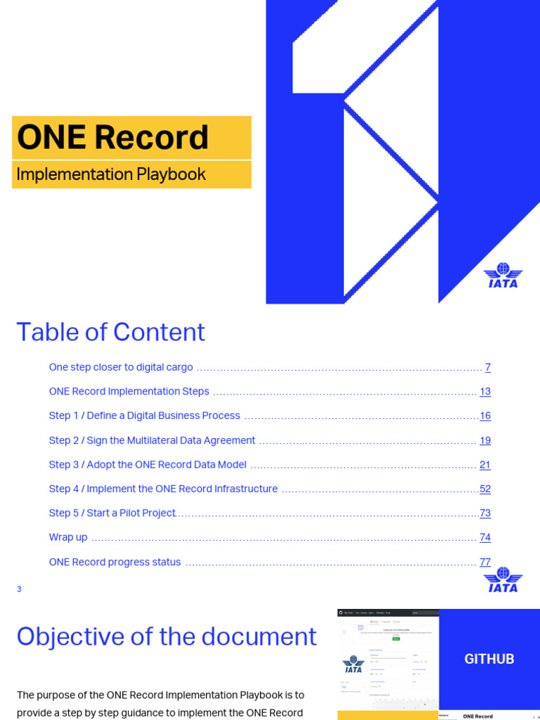 Iata One Record Implementationplaybook Pdf Conceptual Model Data
