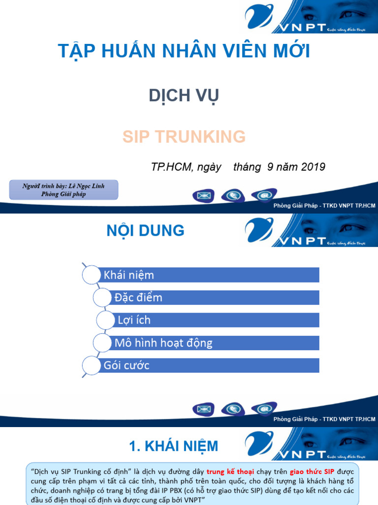 10.sip Trunking - V2 | PDF