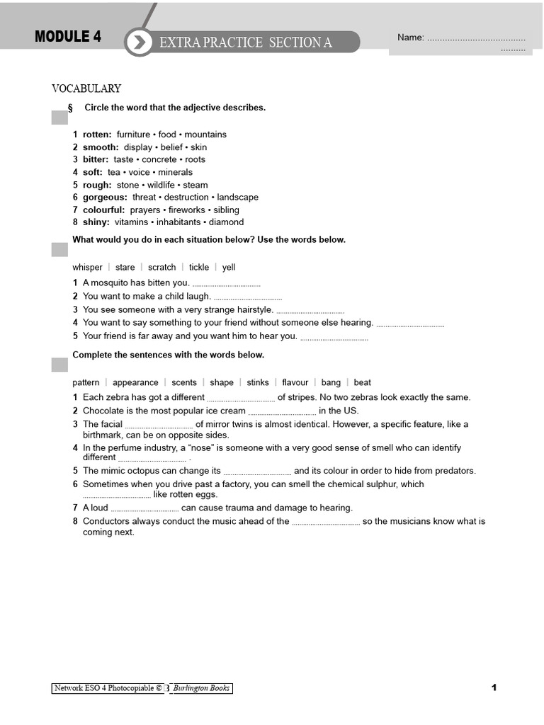 01network4 XPrac Mod4A | Download Free PDF | Linguistic Morphology | Syntax