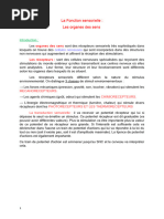 54 - Tamponnement Nasal Anterieur | PDF | Tête et cou chez l'humain ...