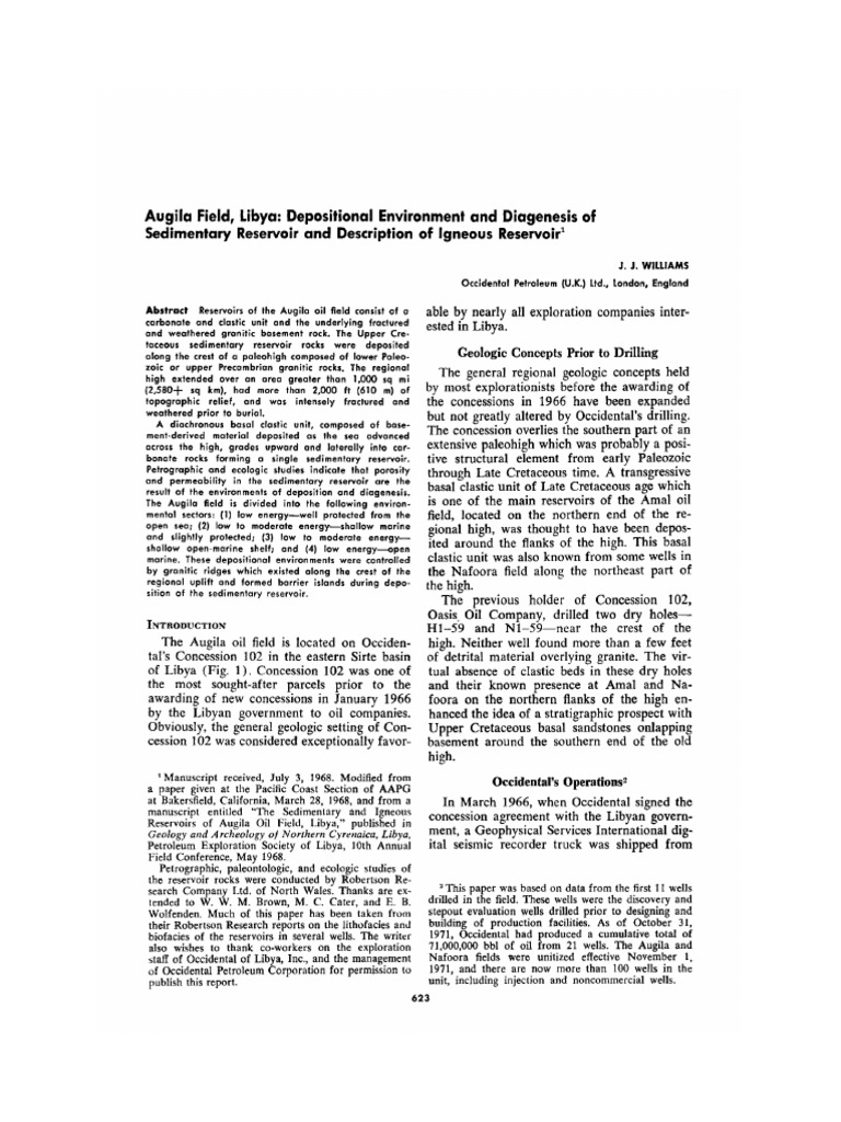 Augila Field Reservoir Analysis | PDF | Sedimentary Rock | Clastic Rock