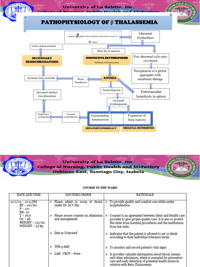 BETLOG | PDF | Allergy | Clinical Medicine