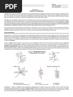 Leaf Dichotomous Key | PDF | Leaf | Branches Of Botany