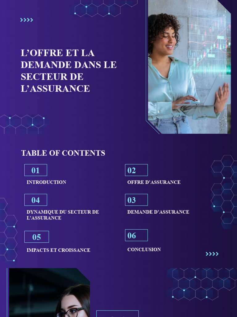 EXPOSE Assurance | PDF | Assurance | Risque