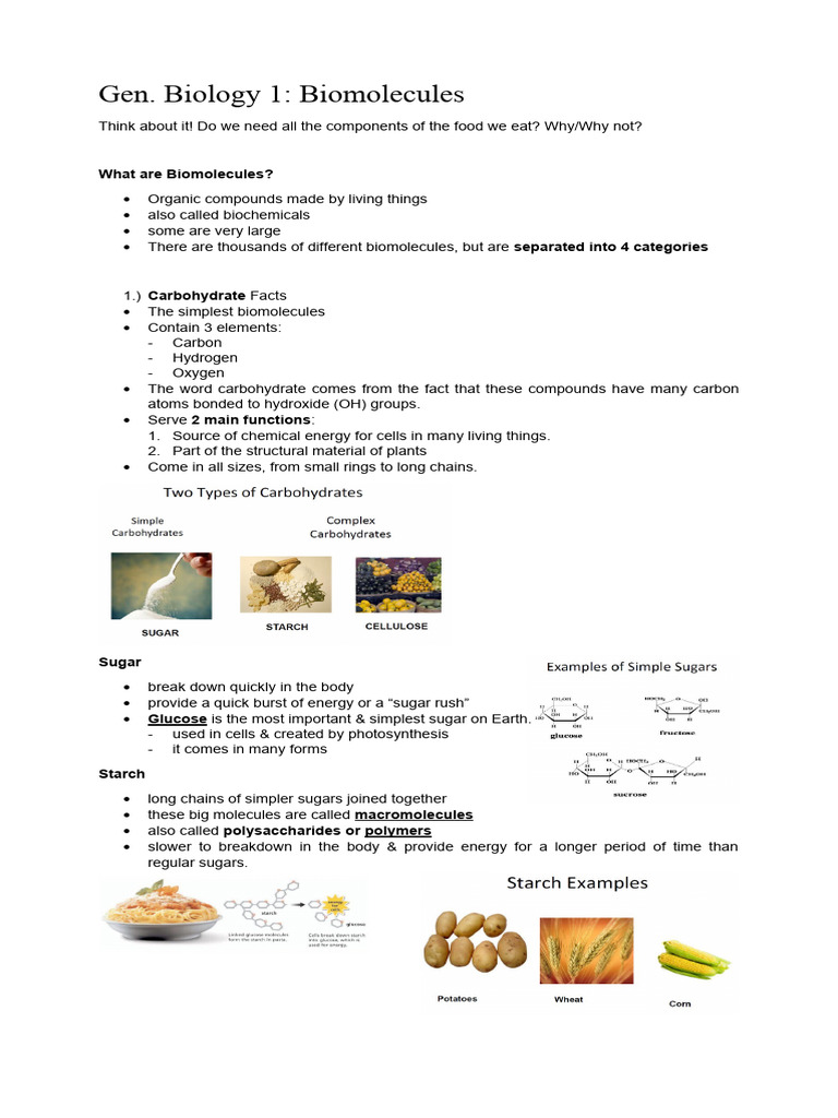 Biomolecules Notes | Download Free PDF | Lipid | Dna