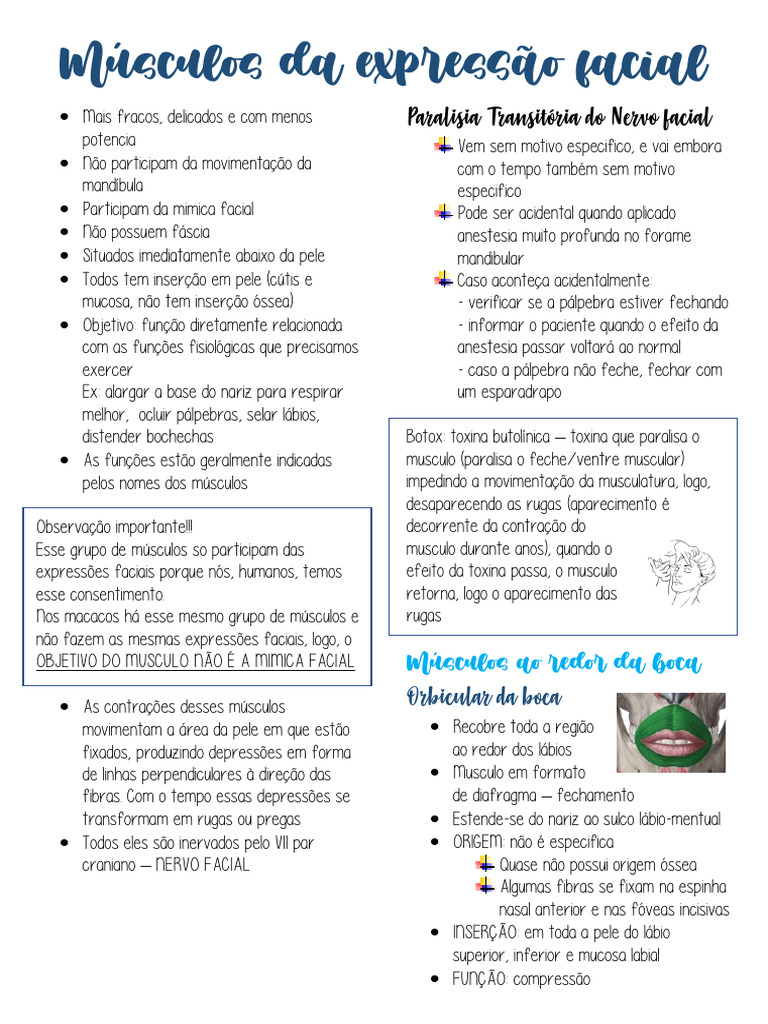 Músculos da Expressão Facial e Funções | PDF | Rosto | Boca