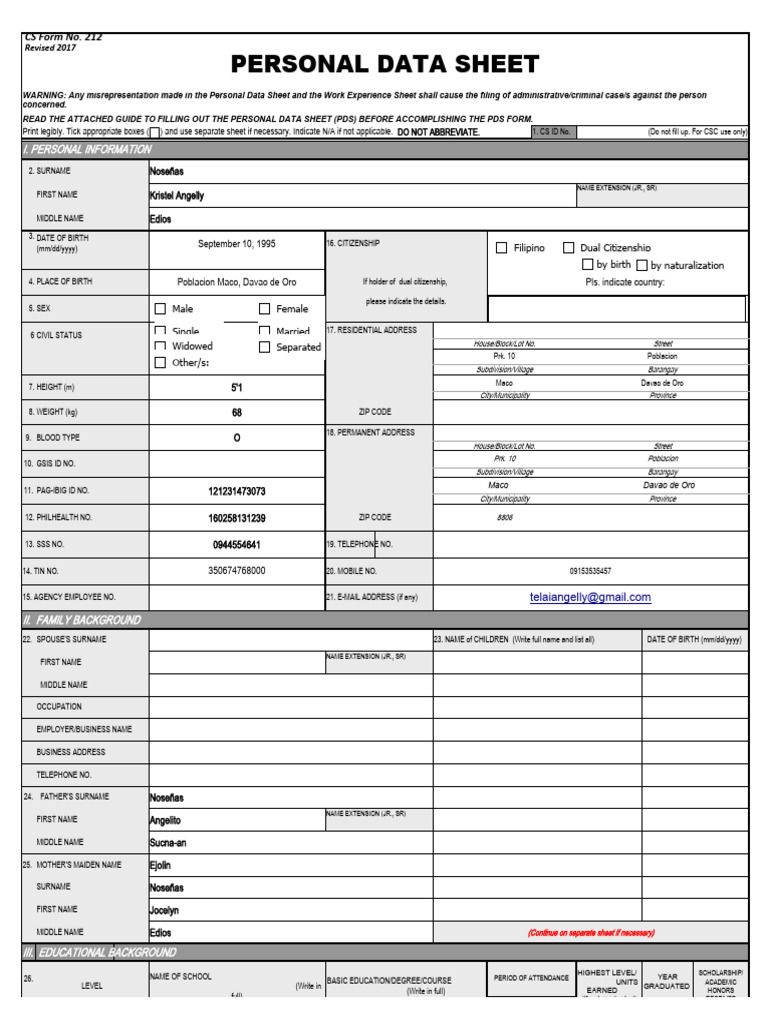 Personal Data Sheet Guide | PDF | Passport | Government