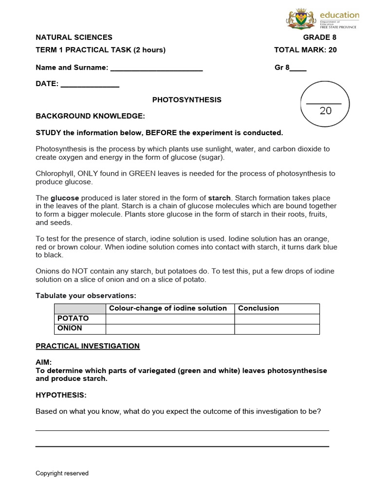 NS_Gr8_Term_1_2023_Practical_Task_TEST_FOR_STARCH_Worksheet_1706286301 ...