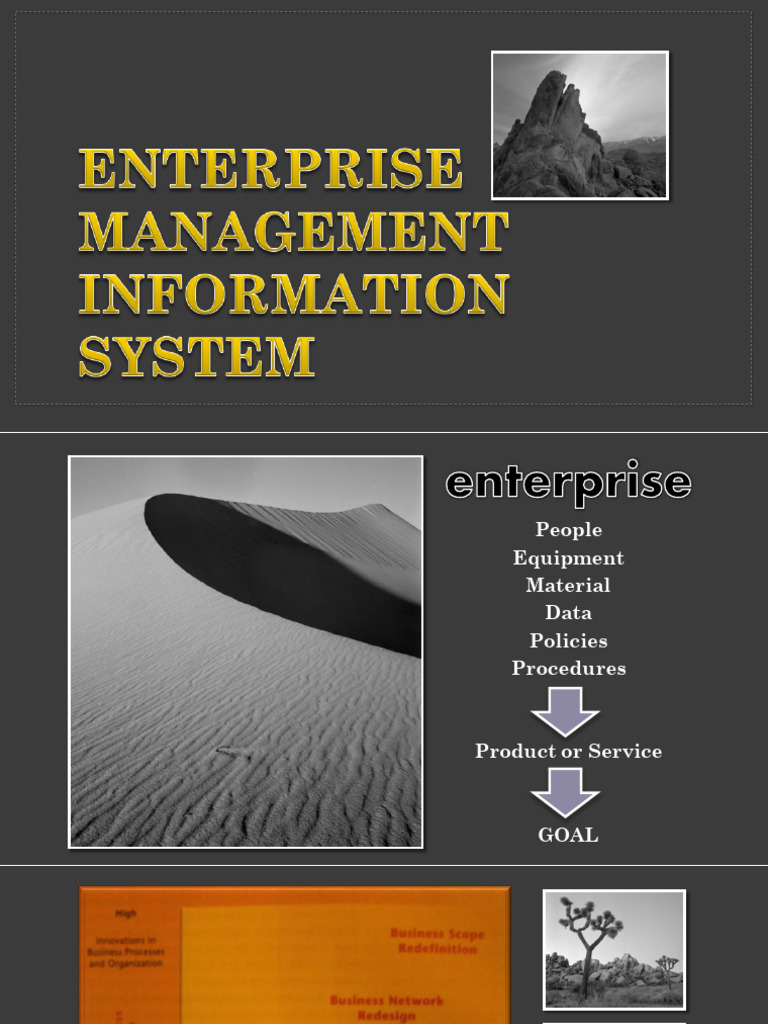11-AGB1216 ENTERPRISE INFORMATION SYSTEM | PDF