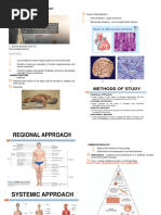 Anatomy and Physiology-Lecture Notes | PDF | Bone | Anatomical Terms Of ...