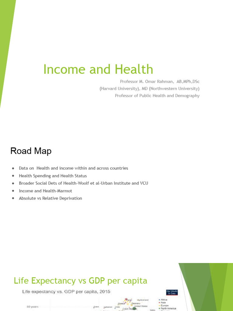 Income and Health Fall 2020 | PDF | Poverty | Poverty & Homelessness