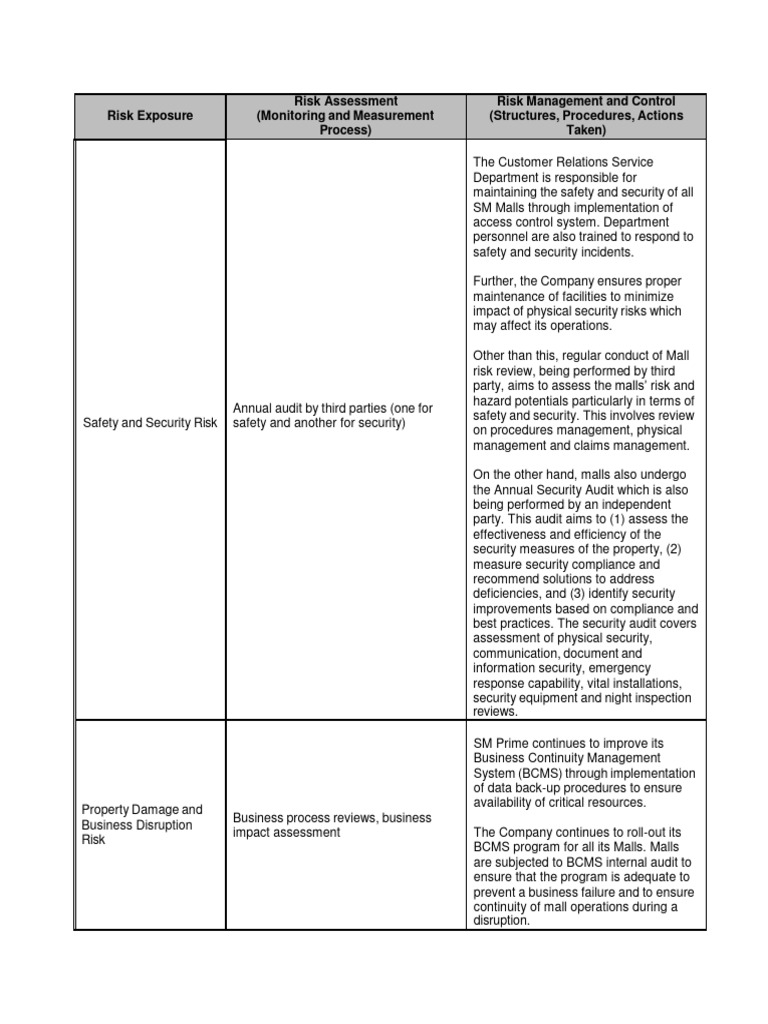 SMPH Key Risks and Risk Management Programs 2022 1 | PDF | Computer ...