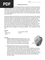 Heart Dissection Lab Report Guide | PDF | Atrium (Heart) | Heart