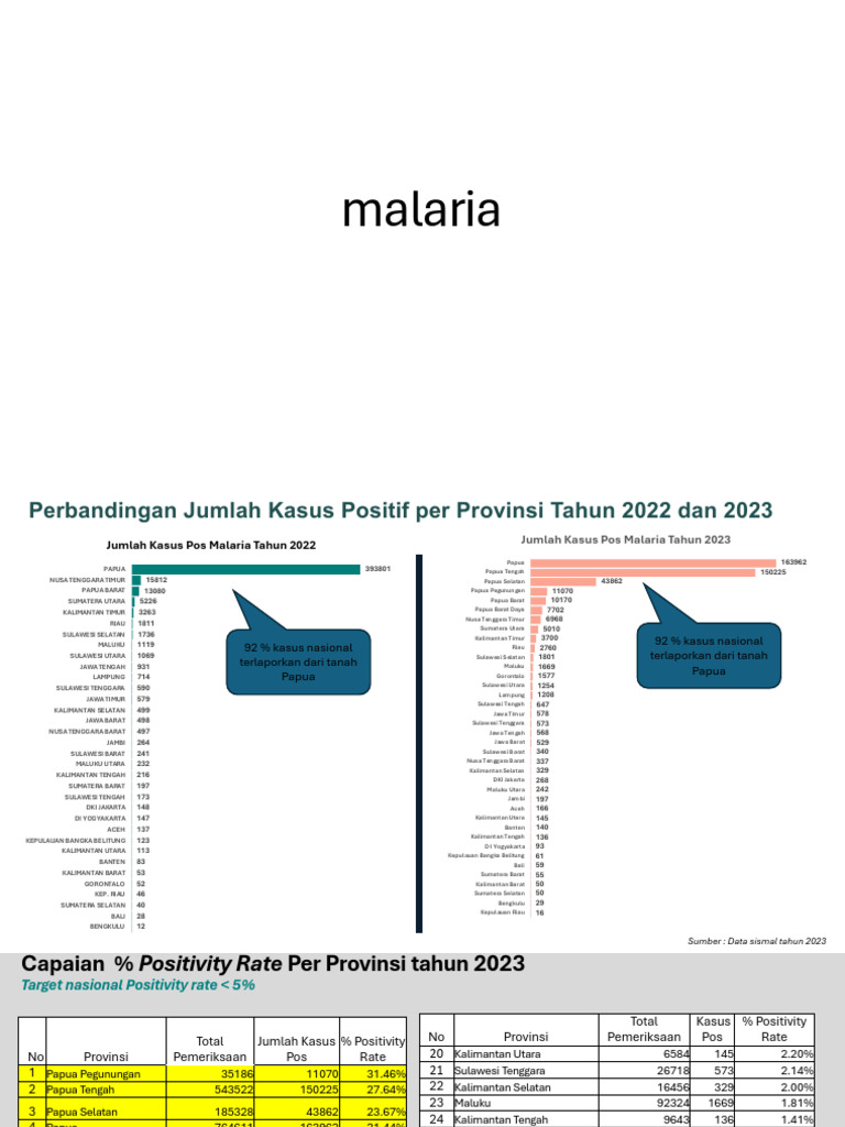 Data Malaria 2023 | PDF