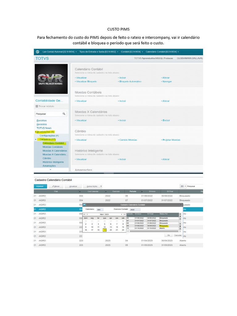 Manual Pims | PDF | Contabilidade