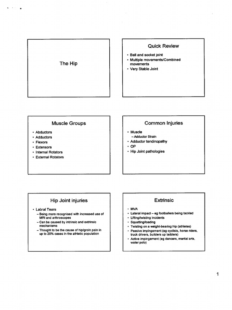 Hip PD-Richard Belton | PDF