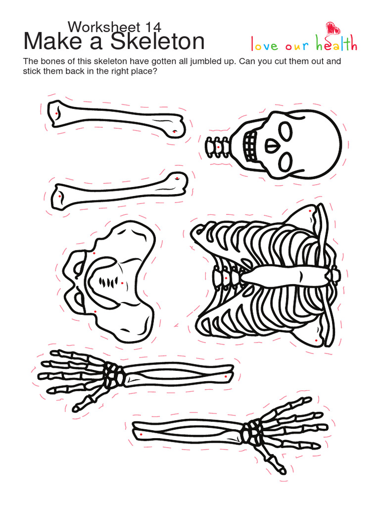 Science Make A Skeleton Pdf