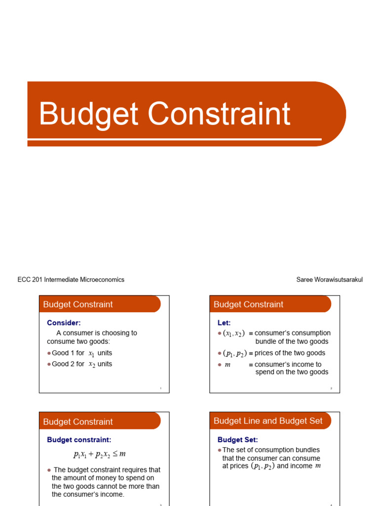Budget Constraint | PDF | Goods | Consumer Behaviour