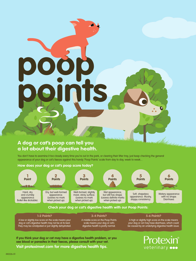 m0326-01 Spot The Signs Poop Points Poster No Crops | PDF | Animals And ...