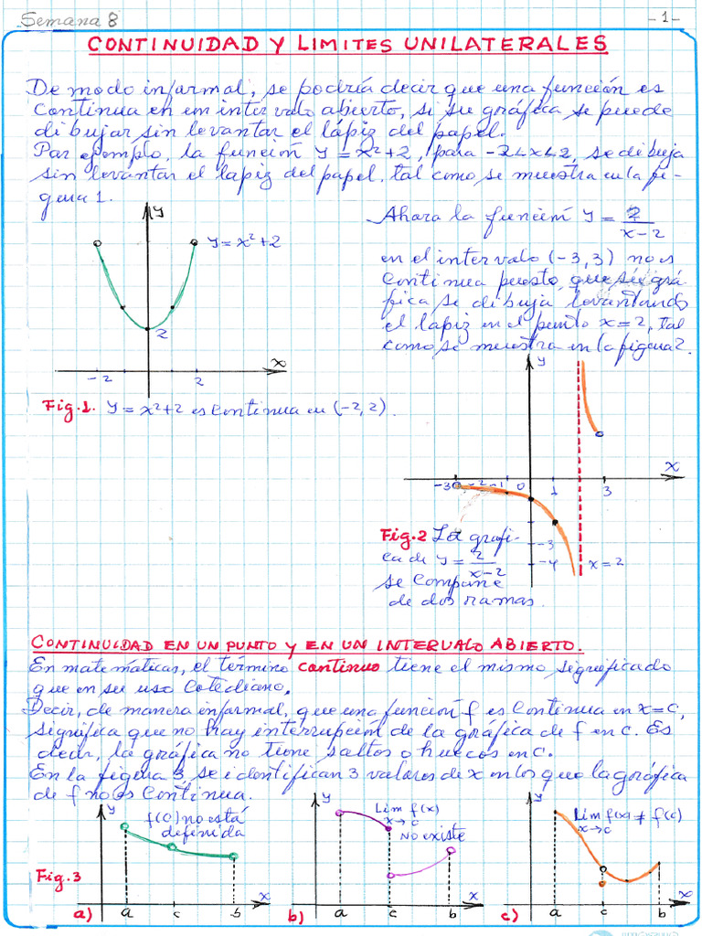 Continuidad y Limites Unilaterales | PDF