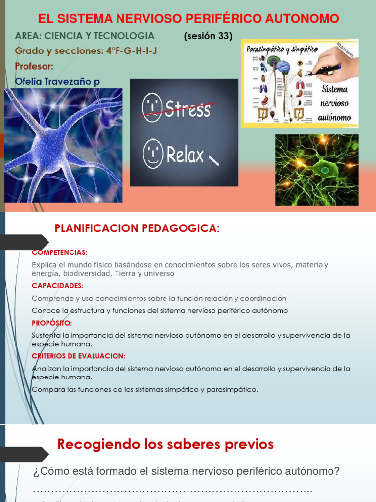 SESION #33 S.N.A 4°CyT | PDF | Sistema nervioso autónomo | Sistema nervioso