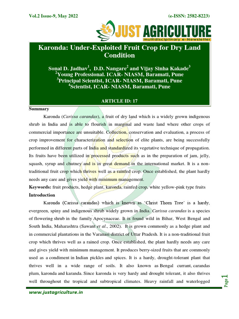 Karonda Under-Exploited Fruit Crop For Dry Land Condition | PDF | Horticulture | Plants