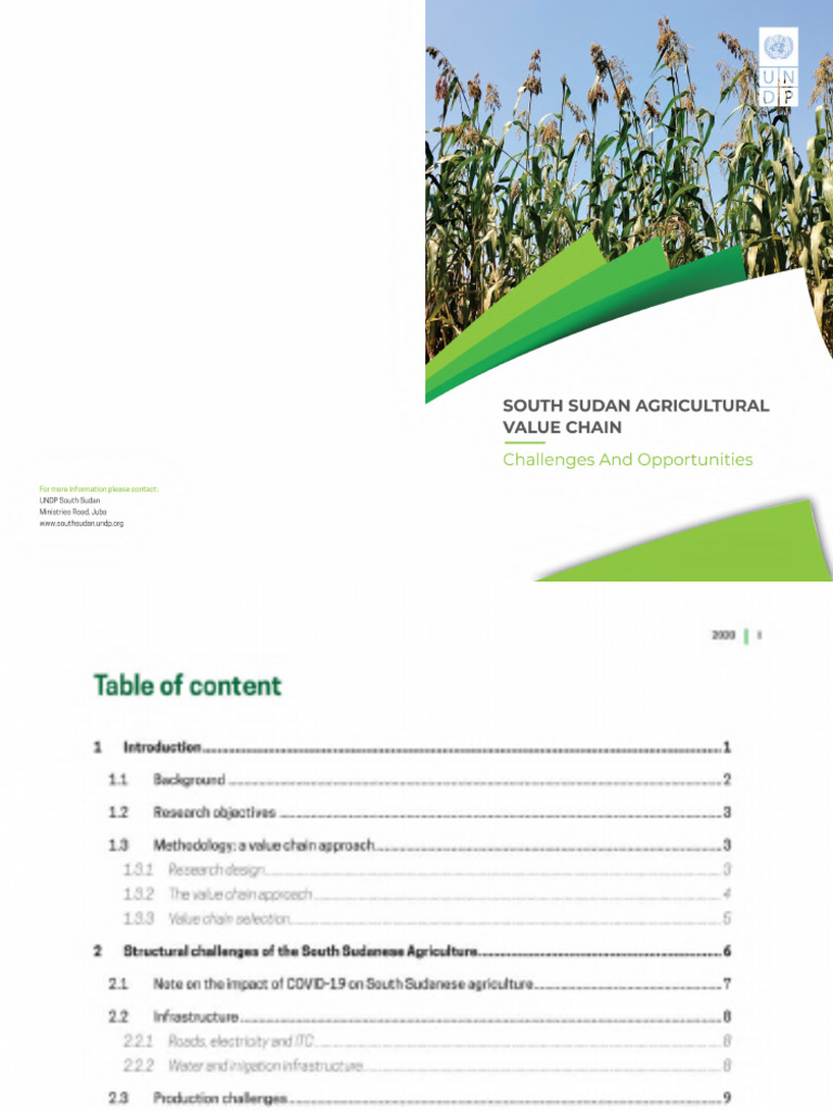 South Sudan Agriculture Value Chain Study - UNDP - Print | PDF