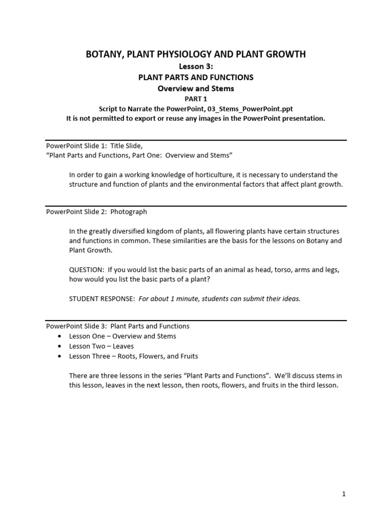 03_Stems_Script | PDF | Plant Stem | Leaf
