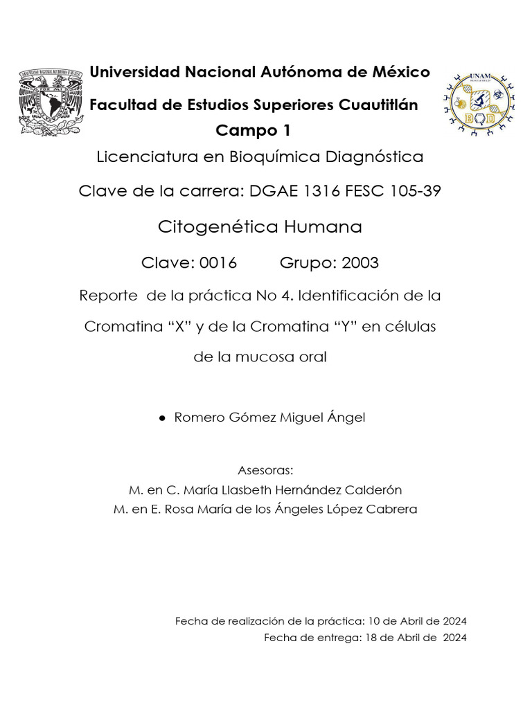 Reporte P4 | PDF | Cromosoma | Biología