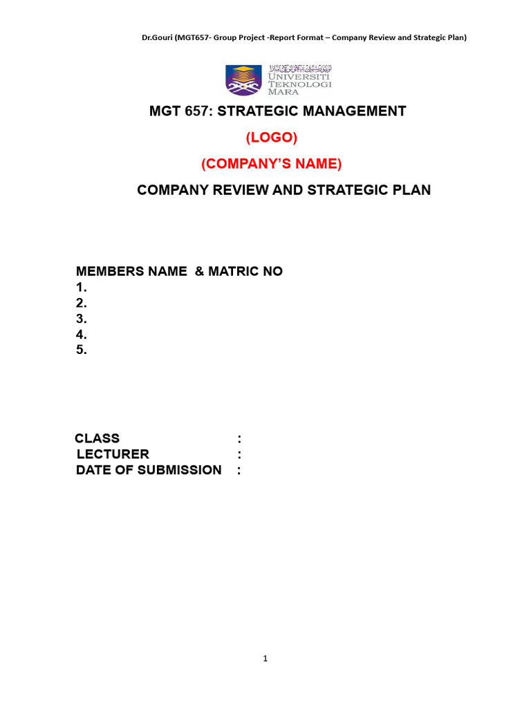 MGT 657-Report FORMAT MARCH 2024 | PDF | Strategic Planning | Swot Analysis