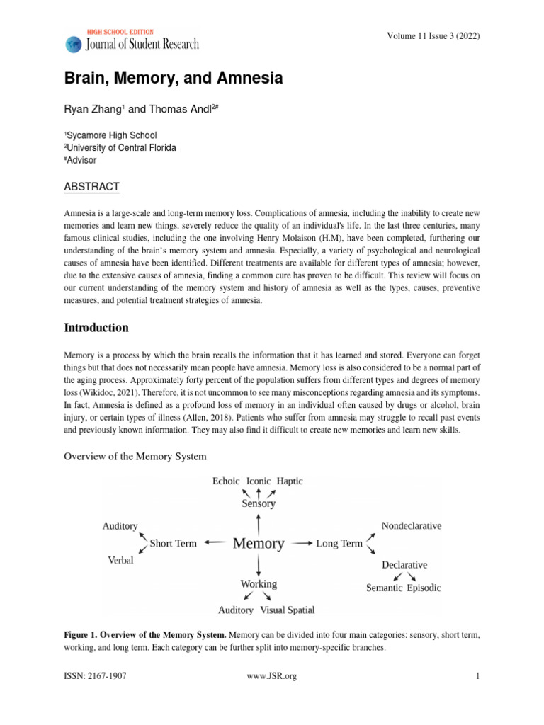 Brain Memory and Amnesia | PDF | Memory | Amnesia