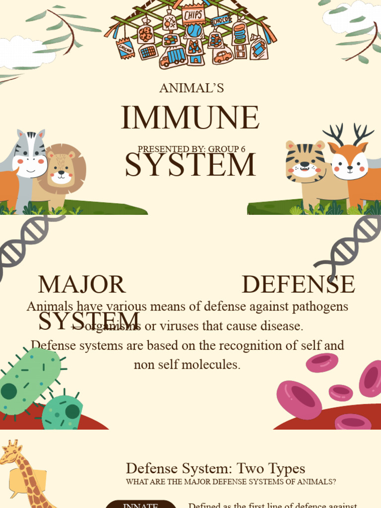 Group 6 Immune System | PDF | Immune System | Adaptive Immune System