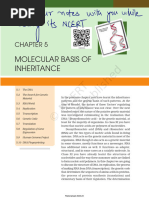 Molecular Basis of Inheritance - Super Notes by Seep Pahuja | PDF ...