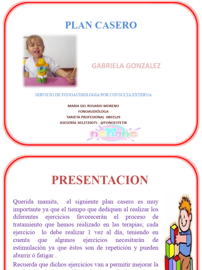 Plan Casero Gaby | PDF