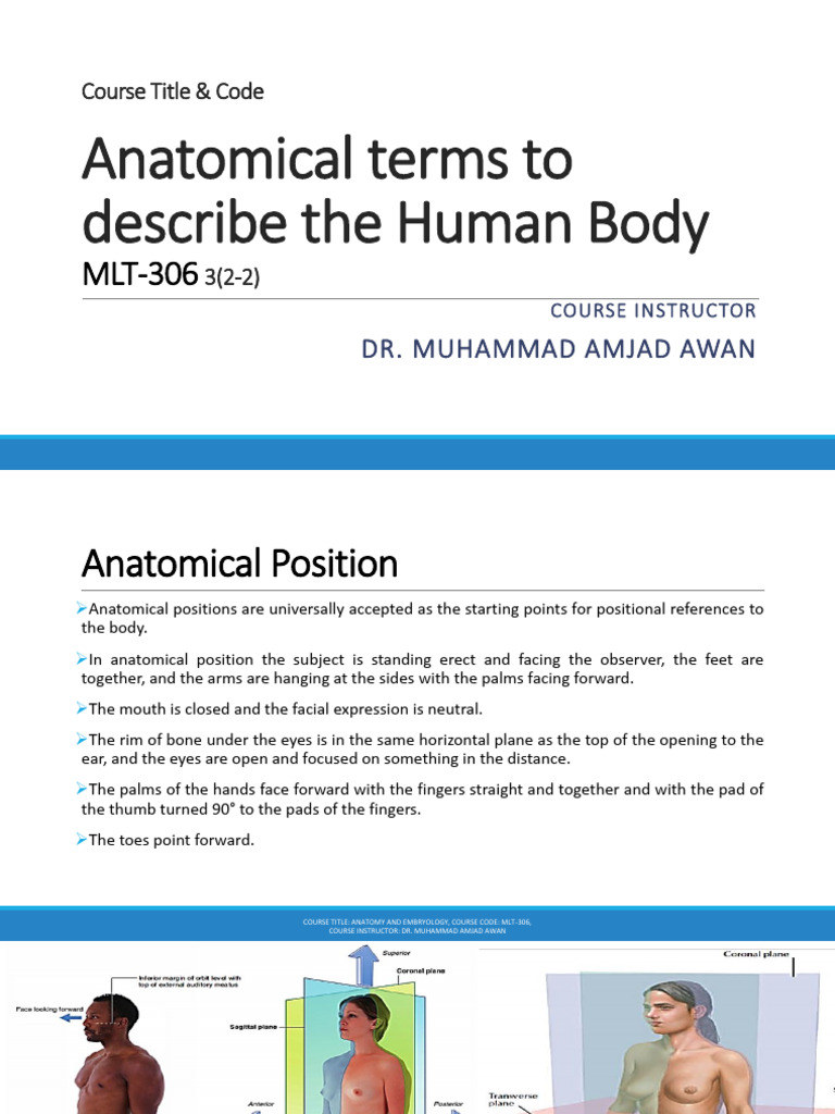 2-Anatomical Terms To Describe The Human Body | PDF | Anatomical Terms ...