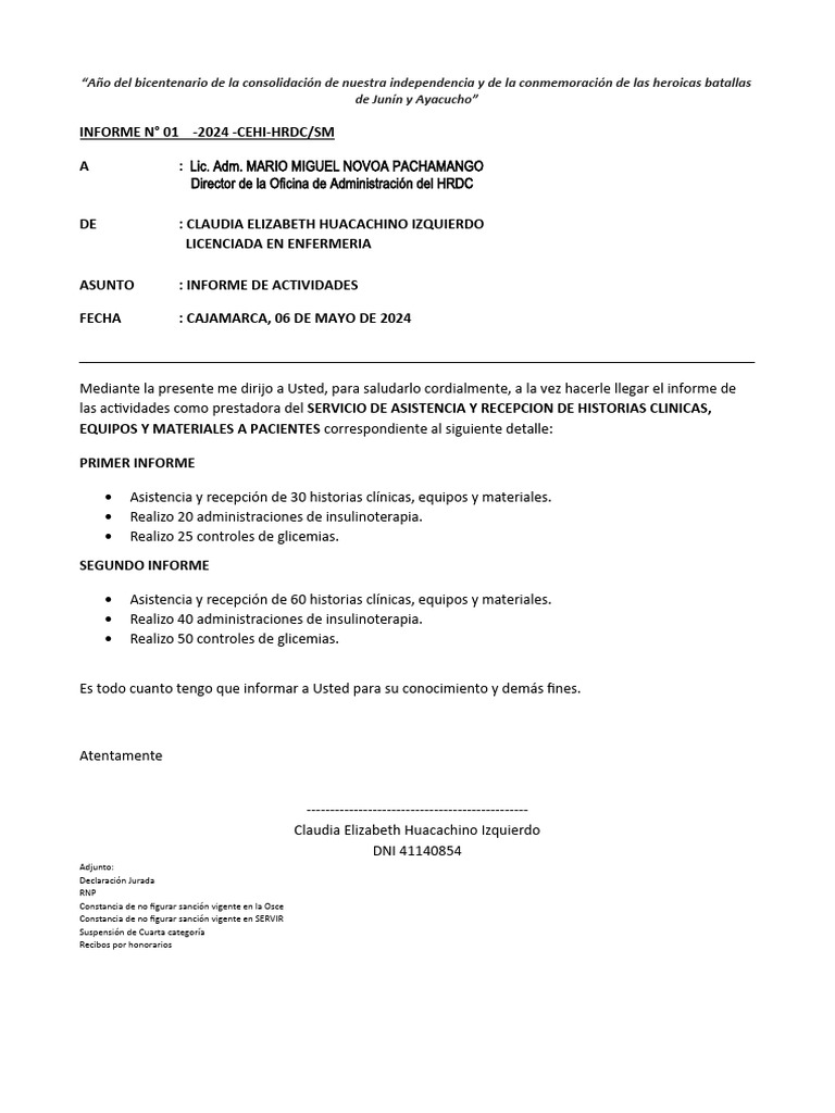 Modelo de Informe | PDF