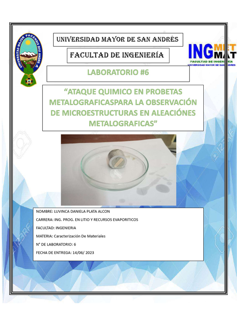 Labo 6 Caracterización | Descargar gratis PDF | Compuestos químicos | Materiales de construcción