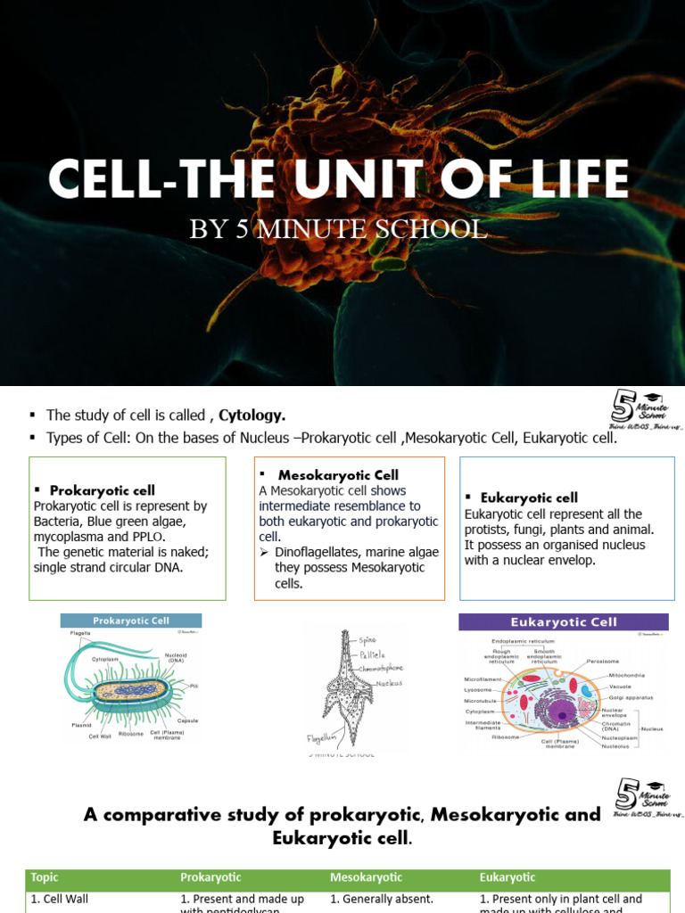 Cell - The Unit of Life | PDF | Cell (Biology) | Endoplasmic Reticulum