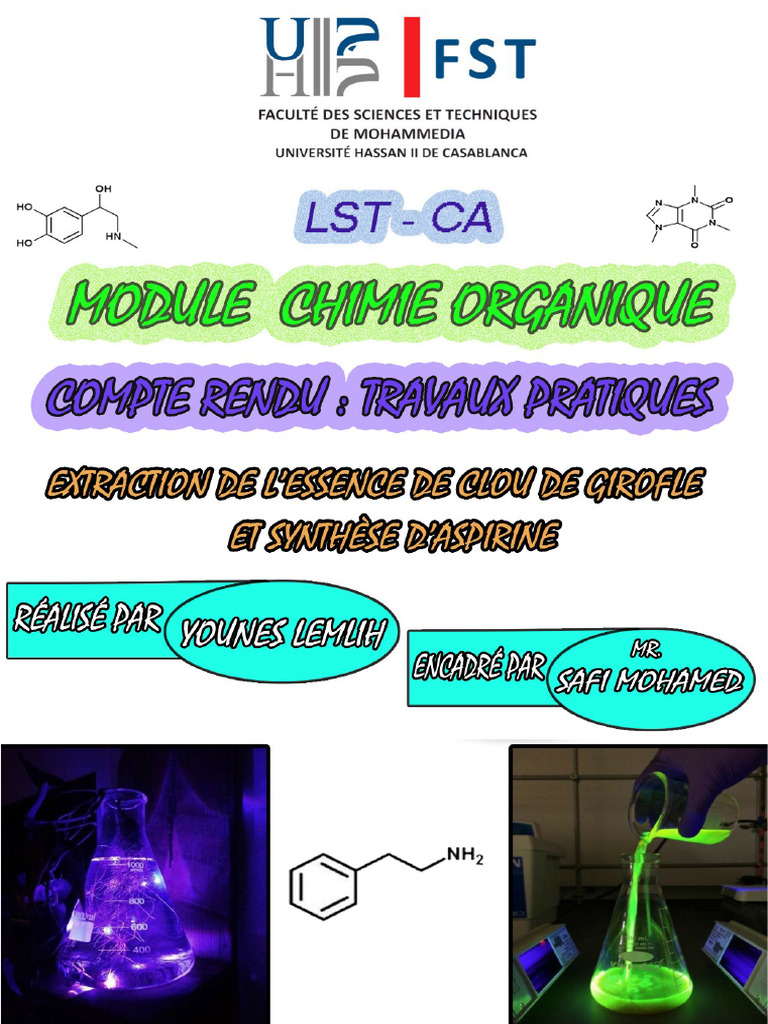 Compte Rendu Chimie Orga | PDF