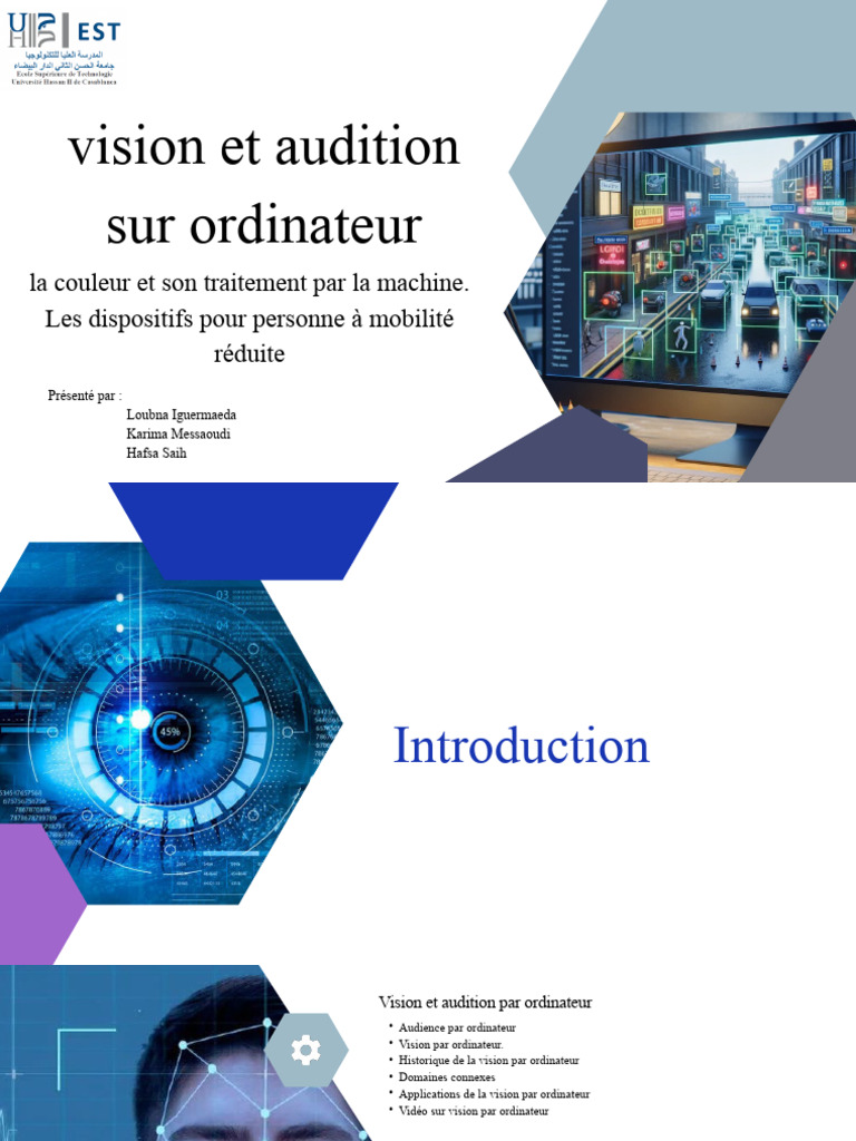 Vision, Audition et Accessibilité Numérique | PDF | Vision par ...